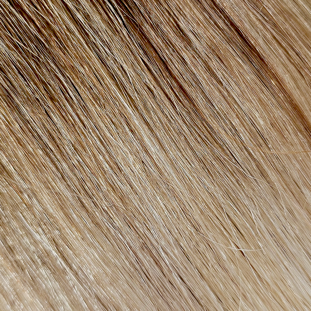 Lace Weft Clip-In,Root Ash Brown With Blonde